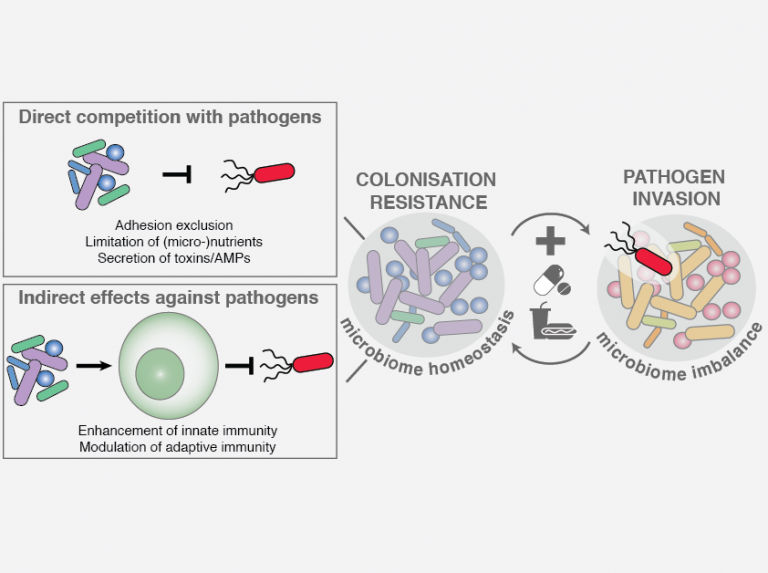 Research - Microbiome-Host-Interactions